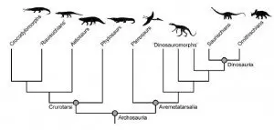 Fanaraha-maso ny niavian'ny Dinosaurs