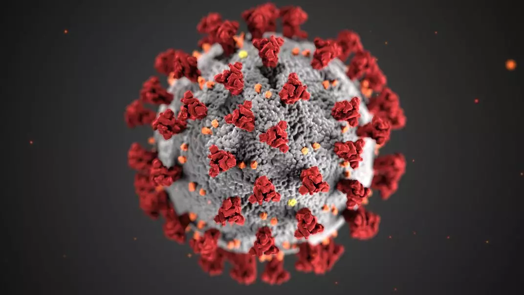 Imatge microsòpica d'un virus.