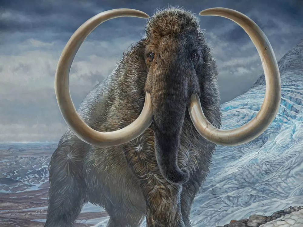 Mammoth ໃນ Arctic