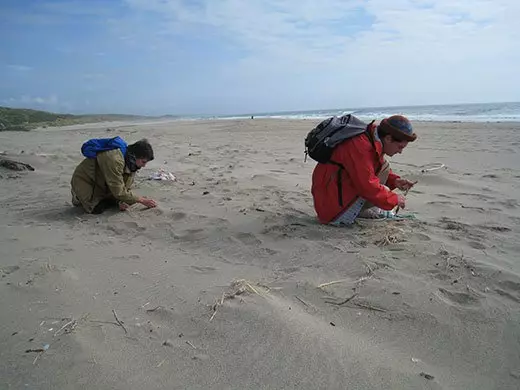 Facendo arte fermosa con plástico da praia 21820_9