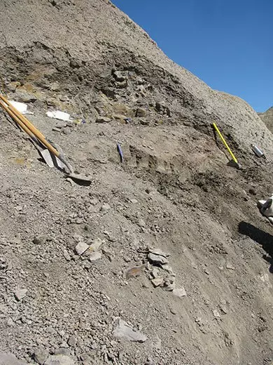 Wyomingská paleontologická správa č. 1: Prečo pred 56 miliónmi rokov? 21942_2