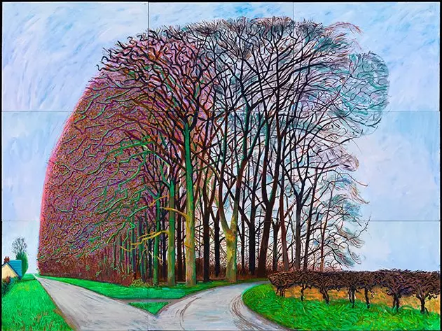 Ihe kpatara David Hockney ji nwee mmekọrịta ịhụnanya-ịkpọ asị na teknụzụ 21949_14