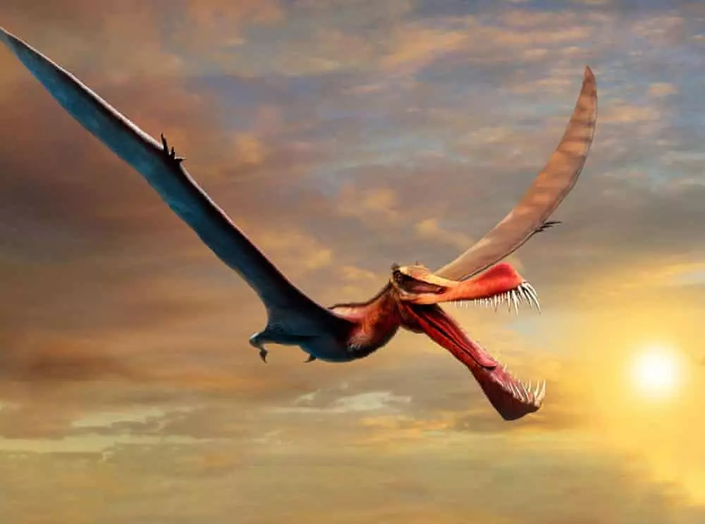 Ang interpretasyon ng isang artist kung ano ang magiging hitsura ng pterosaurus