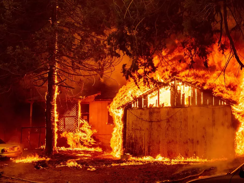 Howanyň üýtgemegi baradaky esasy hasabat 'Adamzat üçin gyzyl kod' barada duýduryş