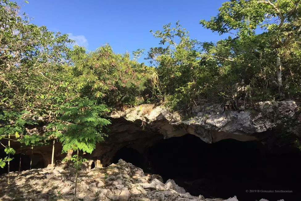 地下洞窟の入り口には木々が並んでいます。