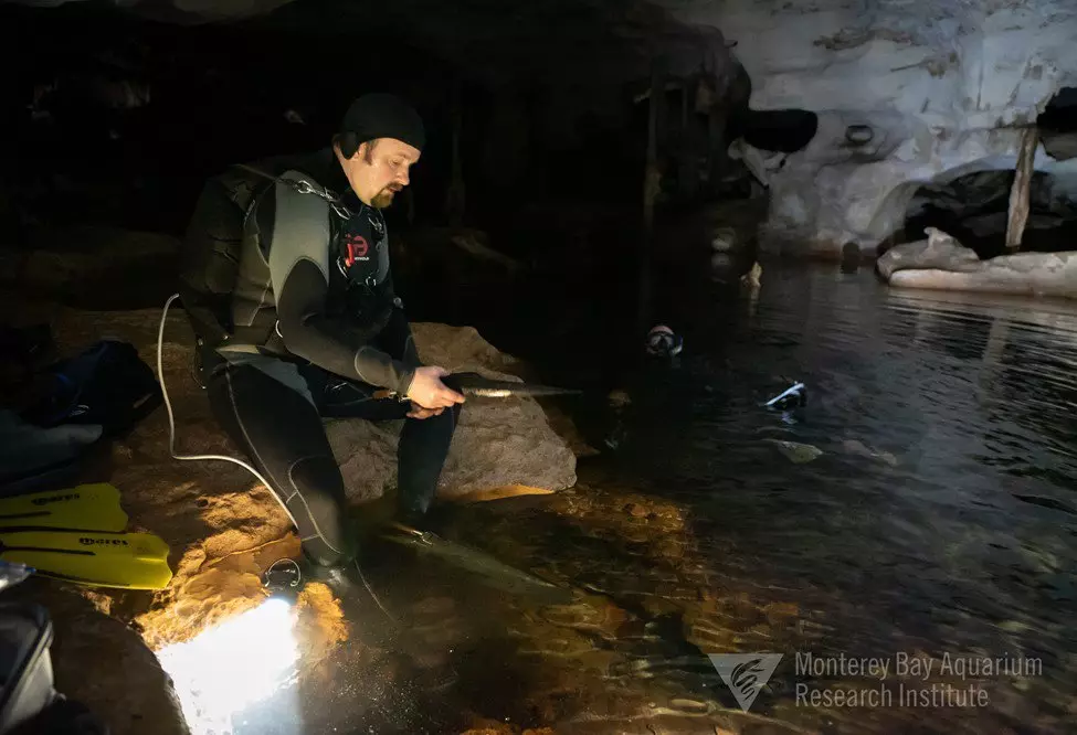 暗い水中の洞窟にいるダイバー。