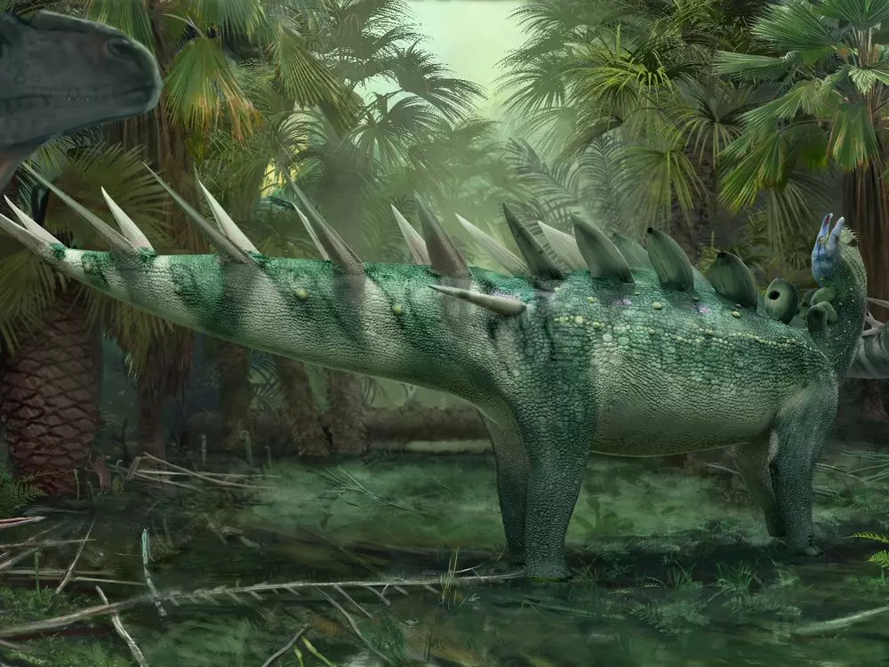 Kentrozauras ruošiasi alozauro atakai