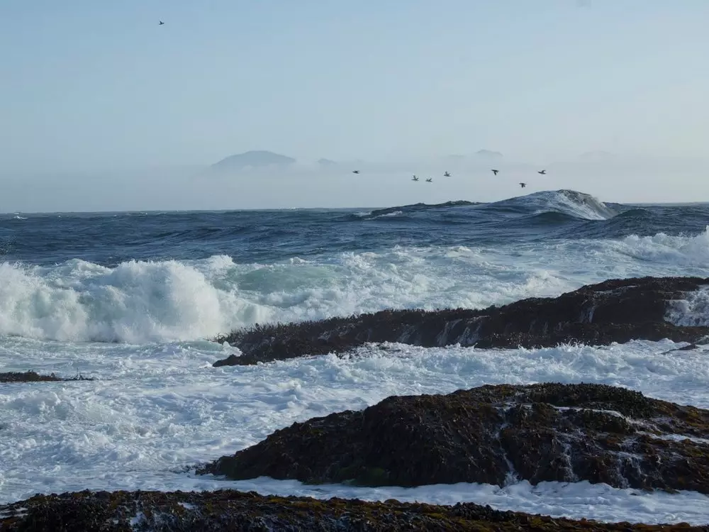 Conosci lo scienziato che ricostruisce le temperature oceaniche passate