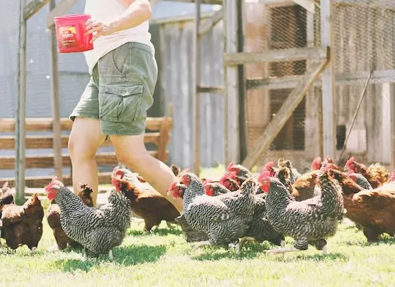 Deze fotograaf documenteert de vergeten vrouwelijke gezichten van de landbouw