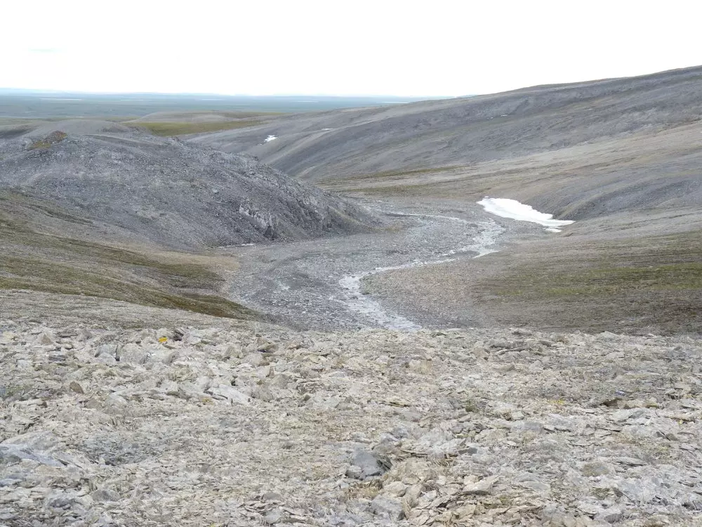 Affleurement kalkè sou Penensil Taymyr nan North Siberia