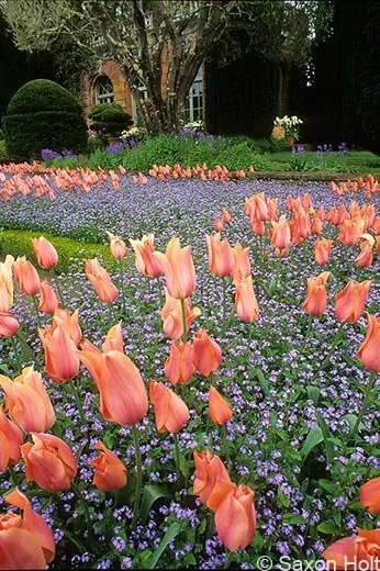 Filoli: Garden of a Golden Age 22380_15