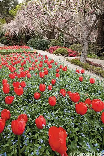 Filoli：黃金時代的花園 22380_7