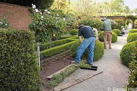 Filoli：黃金時代的花園 22380_8