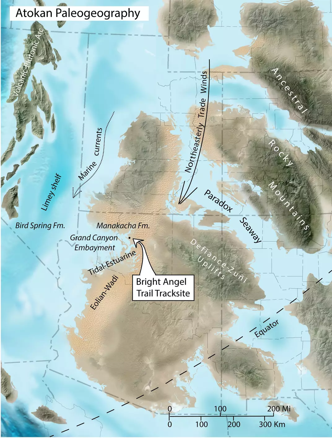 Guri i rënë në Grand Canyon zbulon gjurmët prehistorike të zvarranikëve 22397_5