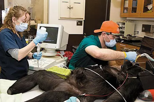 Q and A with Barron Hall, Veterinary Dentist 22425_3