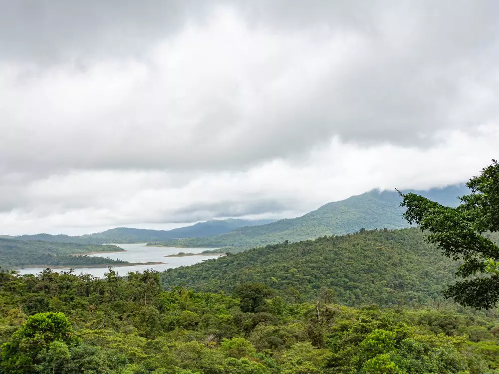 Ang kakahoyan sa panganod sa Fortuna Hydrological Reserve maoy pinuy-anan sa halos kadaghanon sa mga espisye sama sa tibuok Estados Unidos.