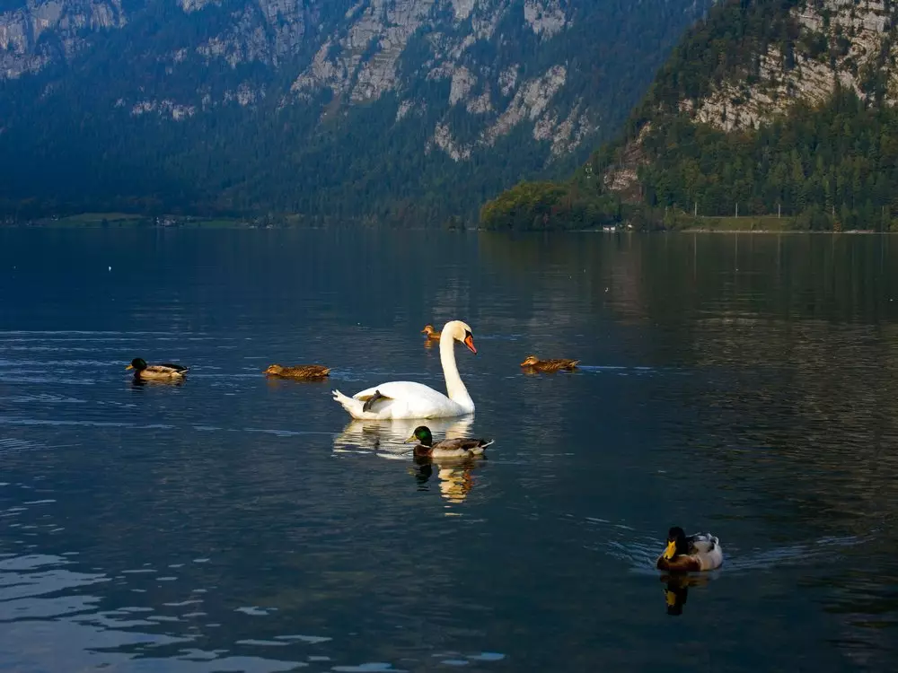 Rick Steves ၏ဥရောပ- Hallstatt၊ သြစတြီးယား