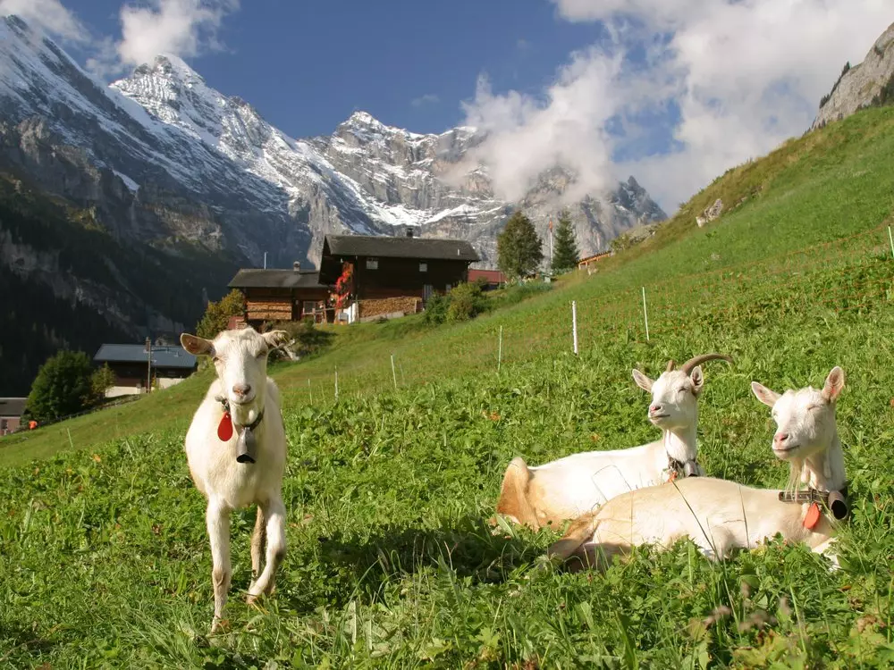 Rick Steves' Europa: Gimmelwald, Schweiz