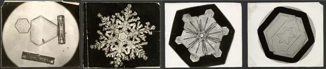 Composite ng mga makasaysayang larawan na naghahambing ng apat na hugis kristal ng yelo sa ilalim ng mikroskopyo