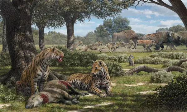 La-Brea-predation-scene-final-version-600x359.jpg