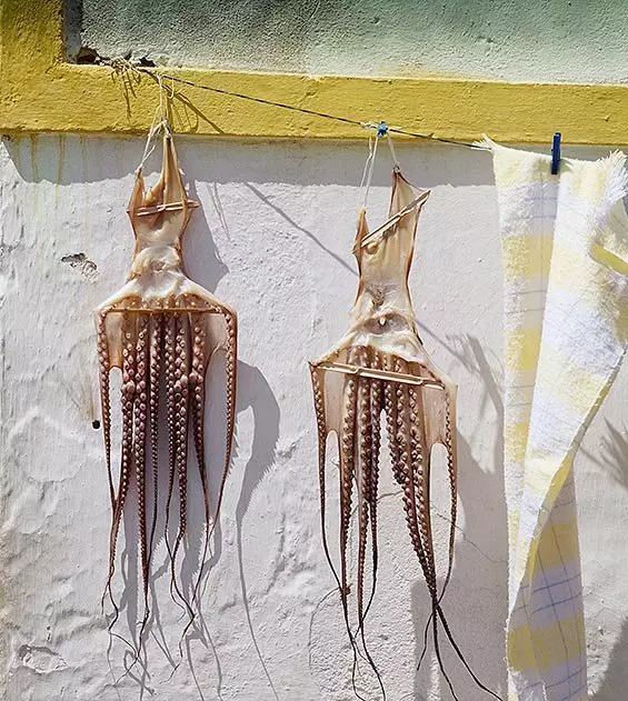 Calamars a l'Algarve, Portugal
