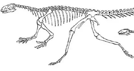 Ymdreiglo Dros Thecodontosaurus