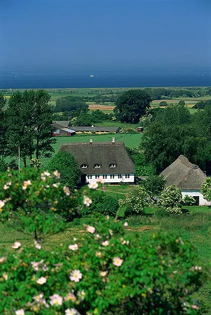 Thatched cottages Aero Denmark