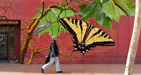 Una specie di farfalle si stabilisce in Market Street a San Francisco