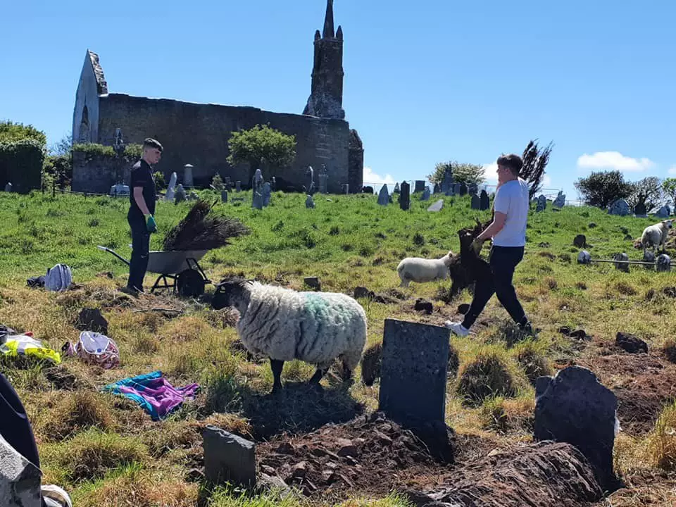 בית קברות כבשים