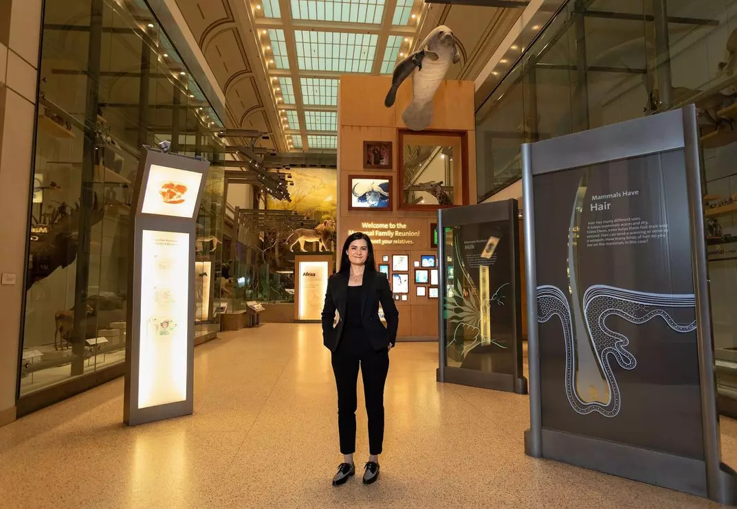 Person, der står i en udstilling fuld af pattedyr, der er behandlet med taxidermi, på Smithsonian's National Museum of Natural History.