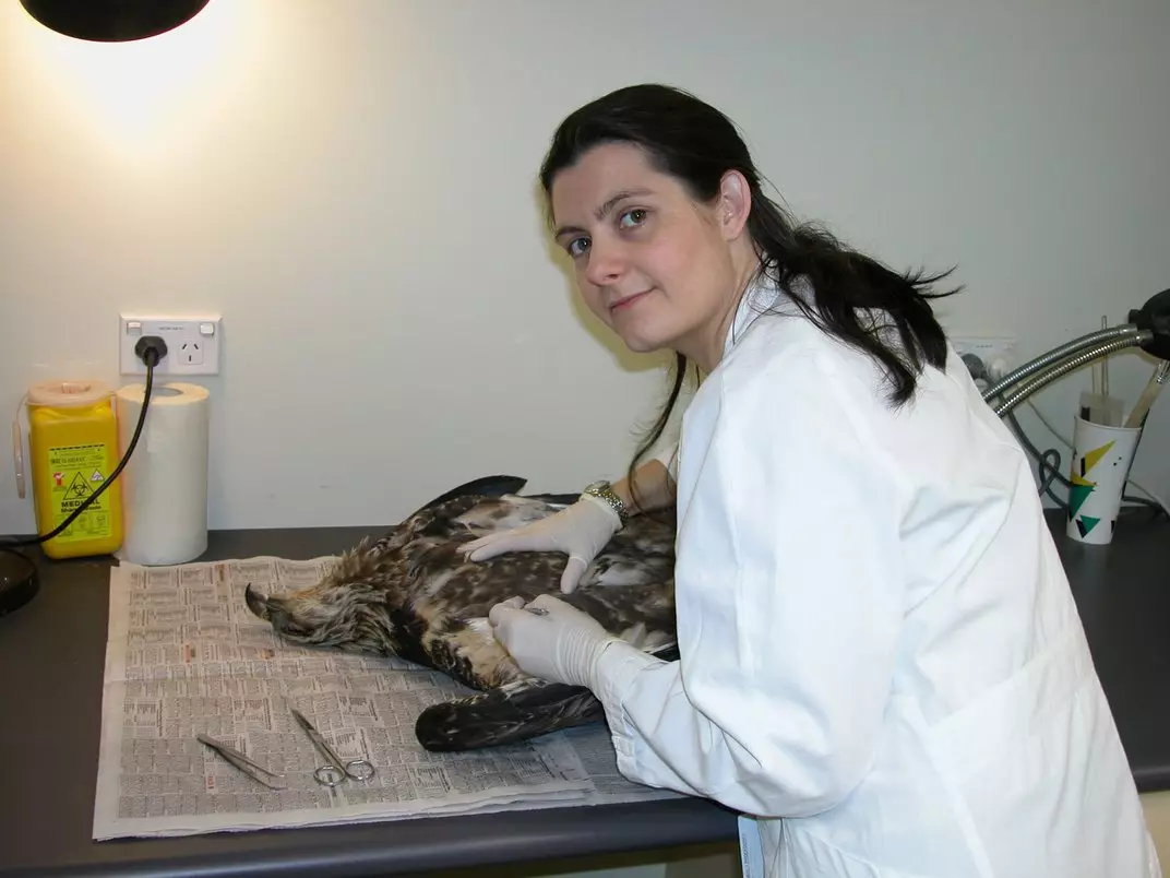 Person at a table disecting a bird. 