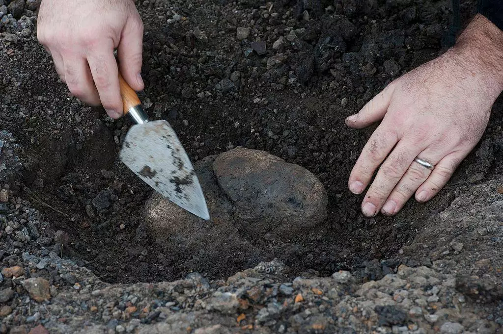 Nofoaga e Lima e Mafai Ona E Aoina Mai Ai Fossil i le Eria o D.C