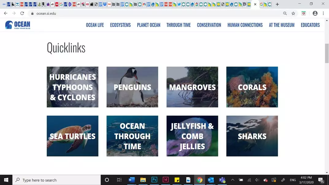 Captură de ecran cu link-uri către diverse subiecte legate de ocean de pe site-ul Ocean Portal.