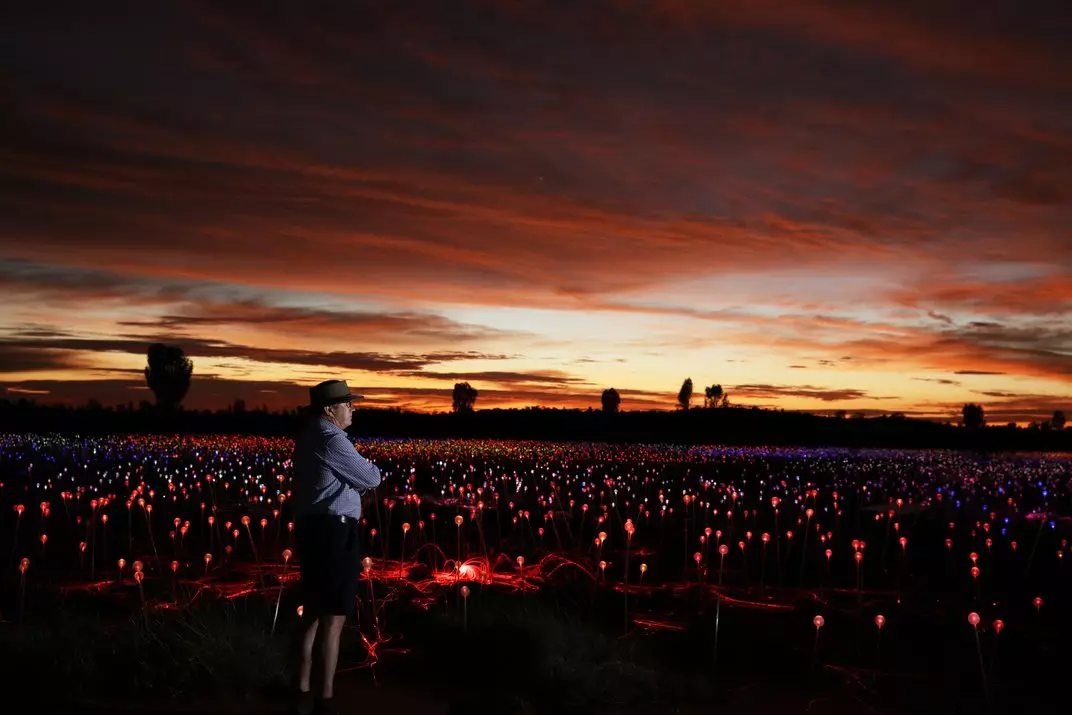 Field of Light Munro