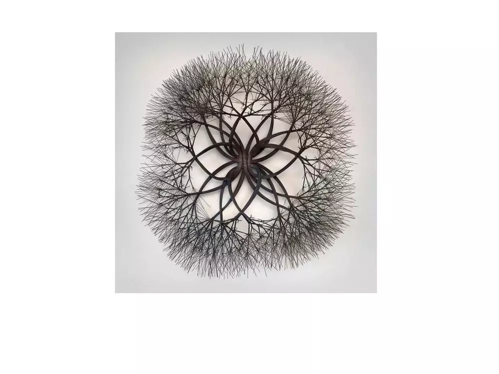 U-Ruth Asawa, ongenamagama (i-S.557, i-Wall-Mounted Wire ebotshiweyo, iZiko elivaliweyo iFomu elineshumi elinesibini elineepetali ezisekelwe kwiNdalo), ucingo lobhedu, 38 x 38 x 12 in. I-Crystal Bridges Museum ye-American Art, i-Bentonville, i-Arkansas, i-2011.39.