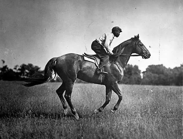 Cavalo de corrida Man o War