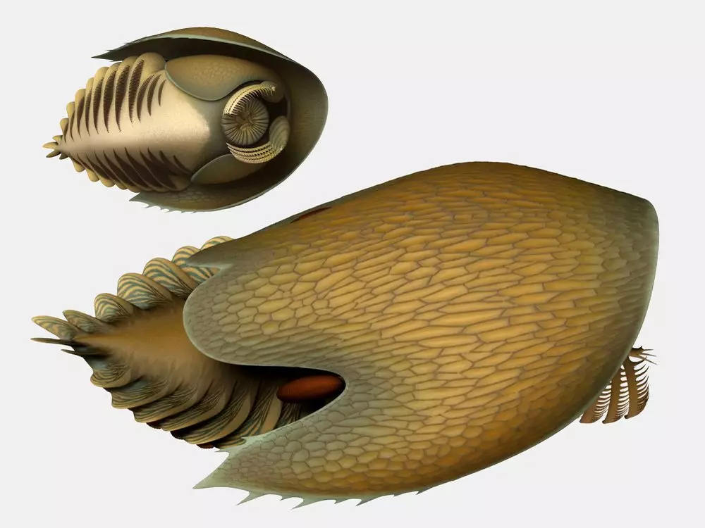 Prehistoric Ocean Predator e Fa'atusaina ma se Pa'u Solofanua Lapo'a ma Saua