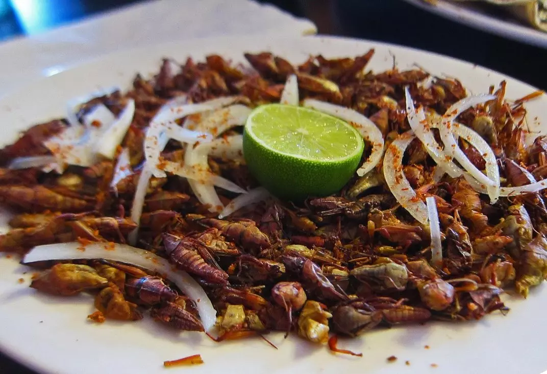 Plato de saltamontes preparados con cebolla blanca y una rodaja de lima