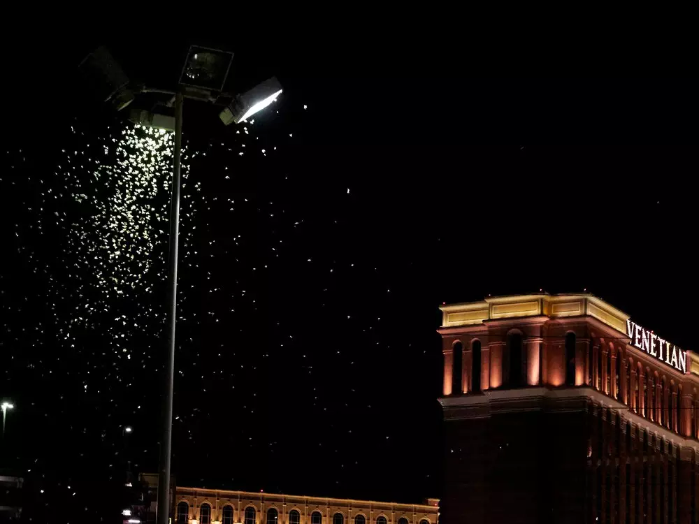 Svarmoj de Grasshoppers Invading Las Vegas Estas Videblaj sur Radaro