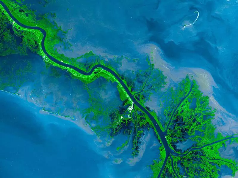 Mississippi-deltaet, sett fra verdensrommet i 2001.