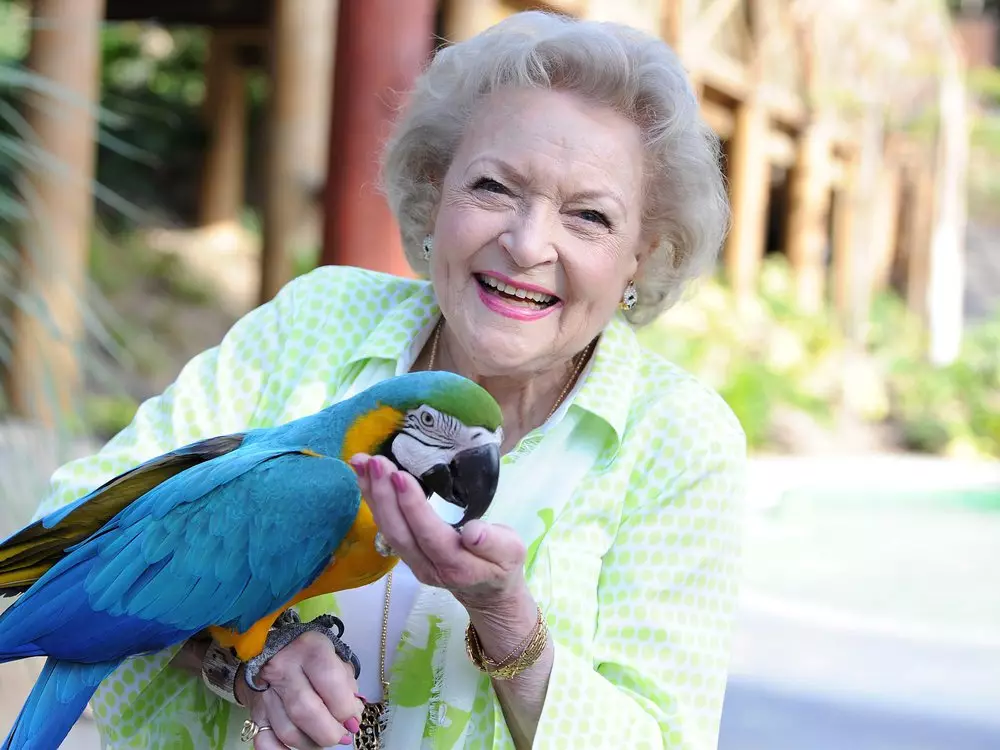 Os refuxios de animais ven unha afluencia de doazóns en honra a Betty White