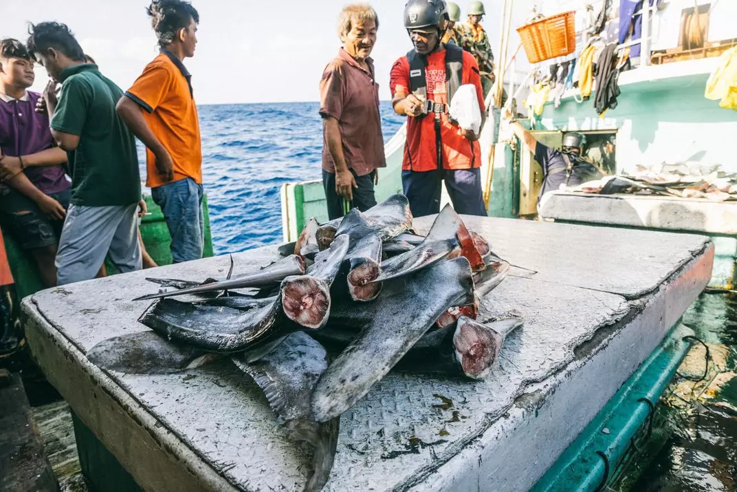 Pemburuan Lanun Zaman Moden Yang Mencuri Berjuta-juta Tan Ikan Dari Laut 23303_12