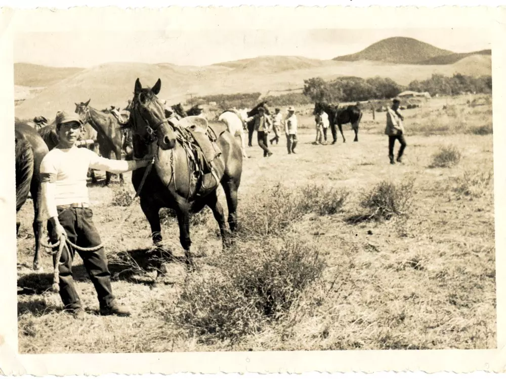 Cowboys in the Tropics: A History of the Hawaiian Paniolo 23354_1