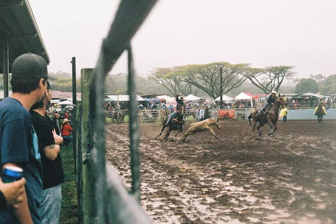 En skara människor tittar på en rodeo, som två personer på hästryggen lasso en mindre häst.