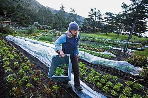 Big Sur Kaliforniyanın xəyalını qurur 23431_6