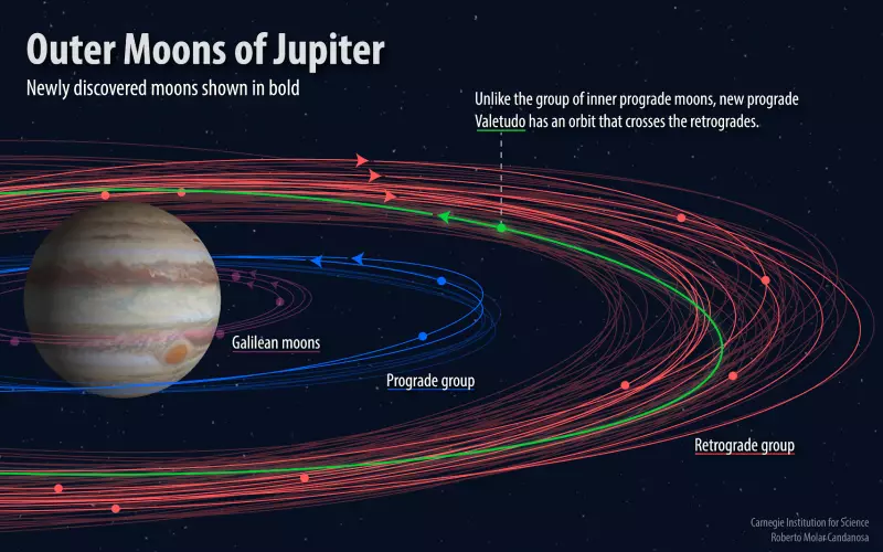 Una infografía que describe a Júpiter y sus grupos lunares.