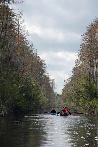 Canoeing sa Okefenokee Swamp 23470_2