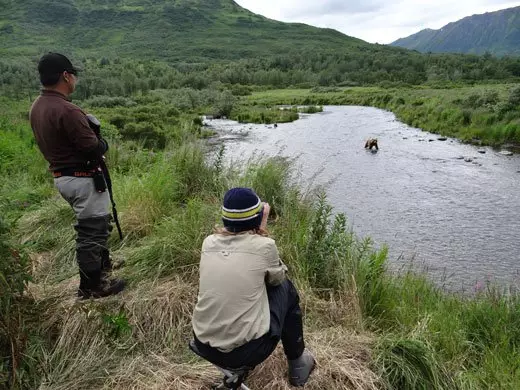 Lous, tou pre ak pèsonèl, nan dezè Alaska 23492_2