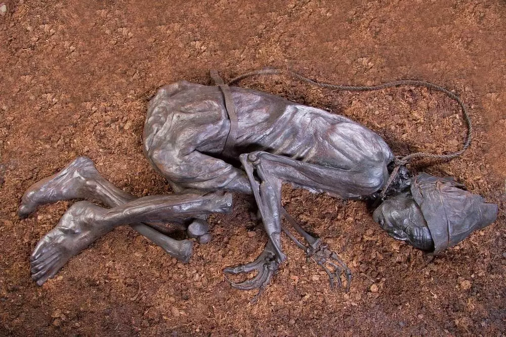 Què va menjar Tollund Man, un dels famosos cossos de pantà d'Europa, abans de morir? 23509_4