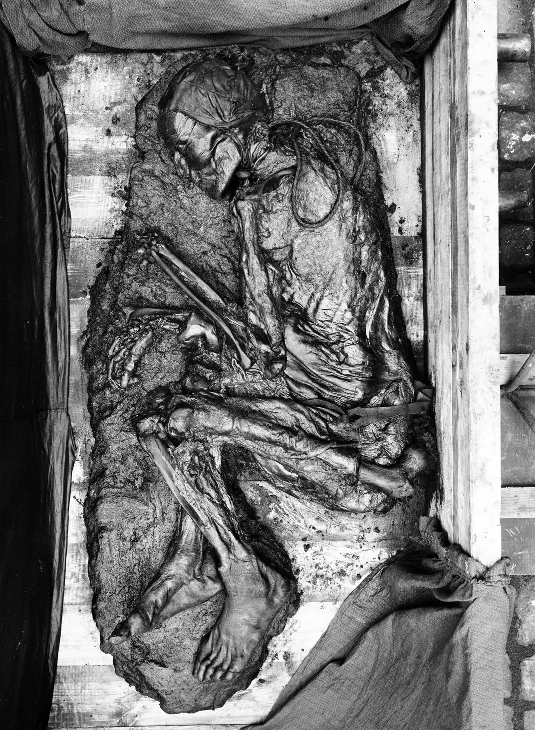 Ano ang Kinain ni Tollund Man, Isa sa Mga Sikat na Bog Bodies sa Europa, Bago Siya Namatay? 23509_5